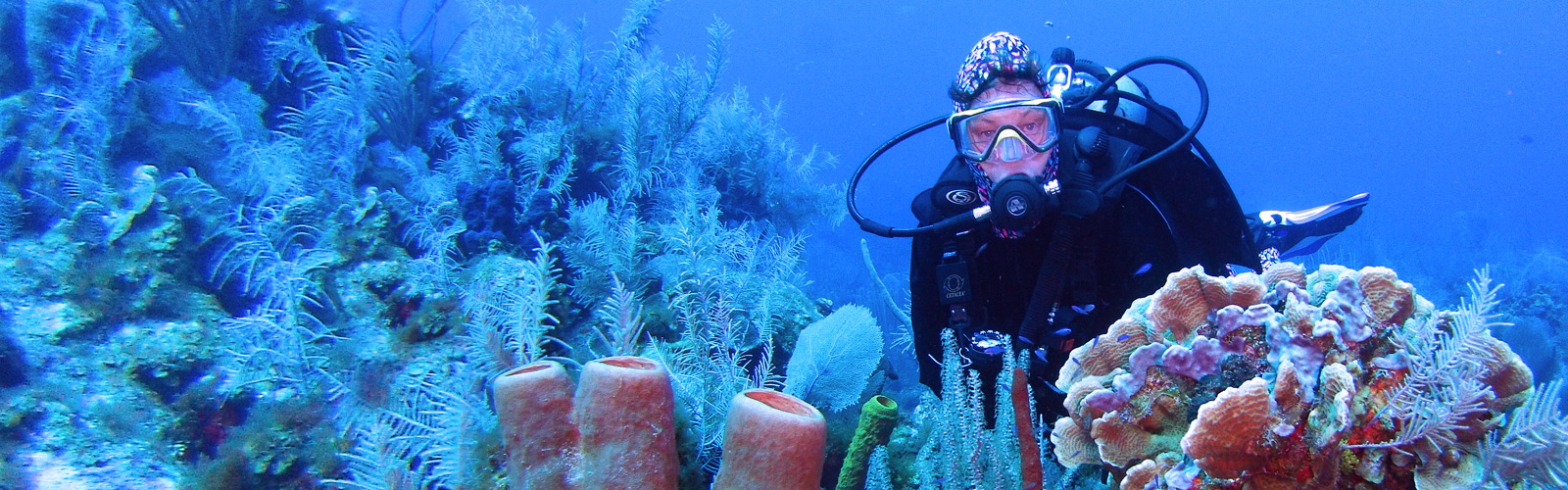 Welcome to Prescription Dive Masks 1-800-538-2878.